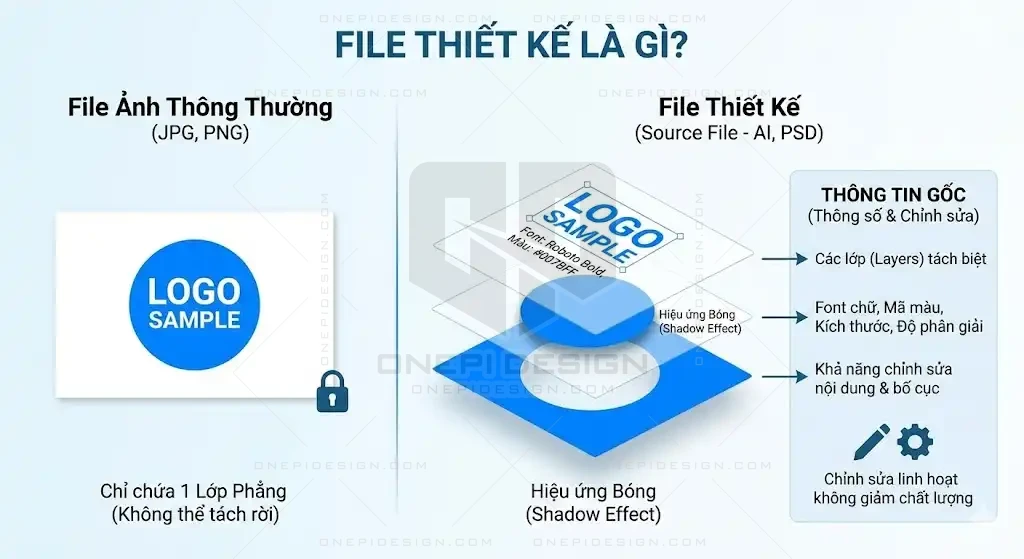 File Thiết Kế Là Gì? Top 3 Định Dạng File Thiết Kế Đồ Họa Cần Phải Biết